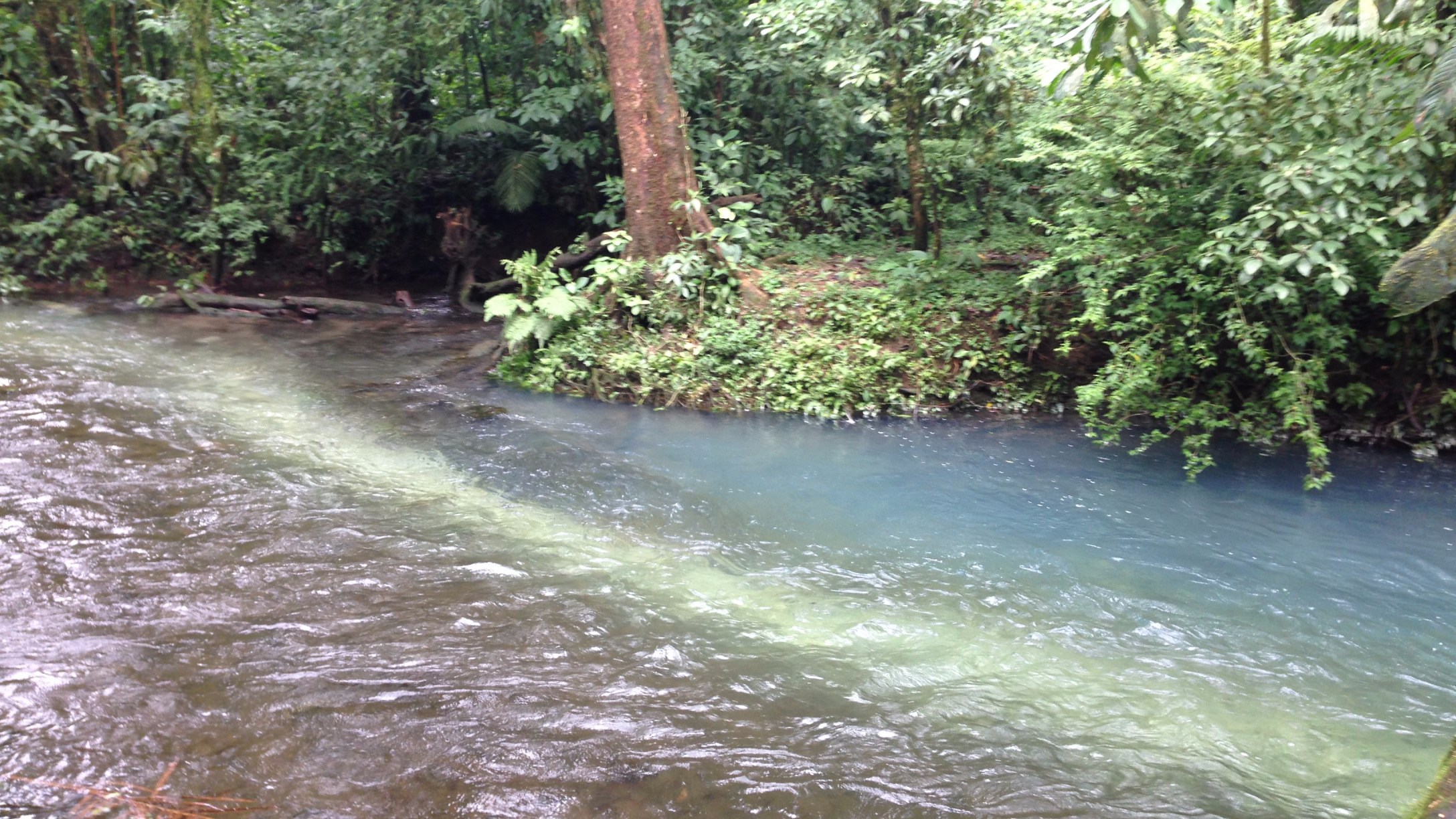 Research – Lee Kennedy-Shaffer, PhD